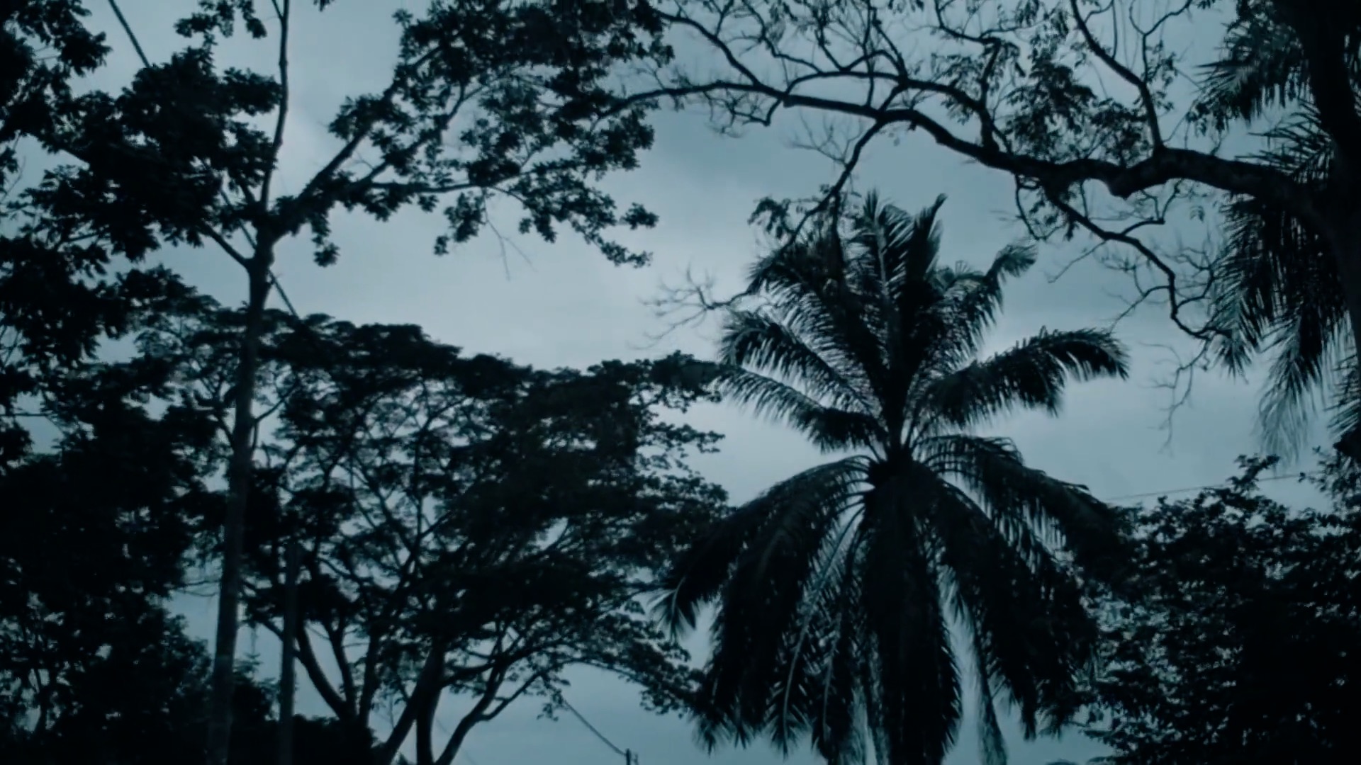 Frank Steinhofer - Das Terrain